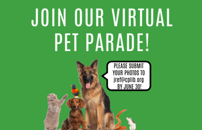 Comsewogue Public Library | Where Many Paths Meet