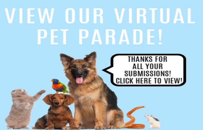 Comsewogue Public Library | Where Many Paths Meet